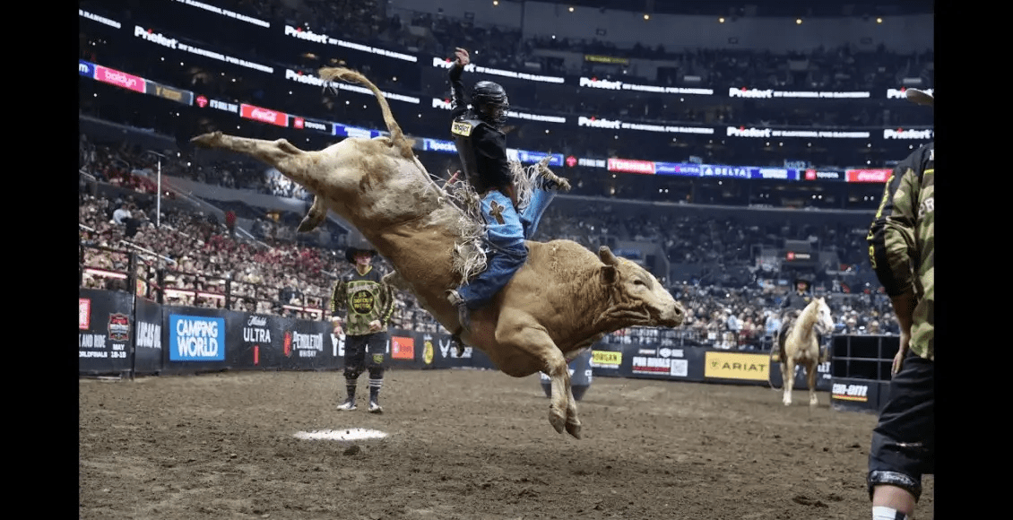 Fenômeno: Peão brasileiro para em touro Nº 1 do mundo - O Correio News